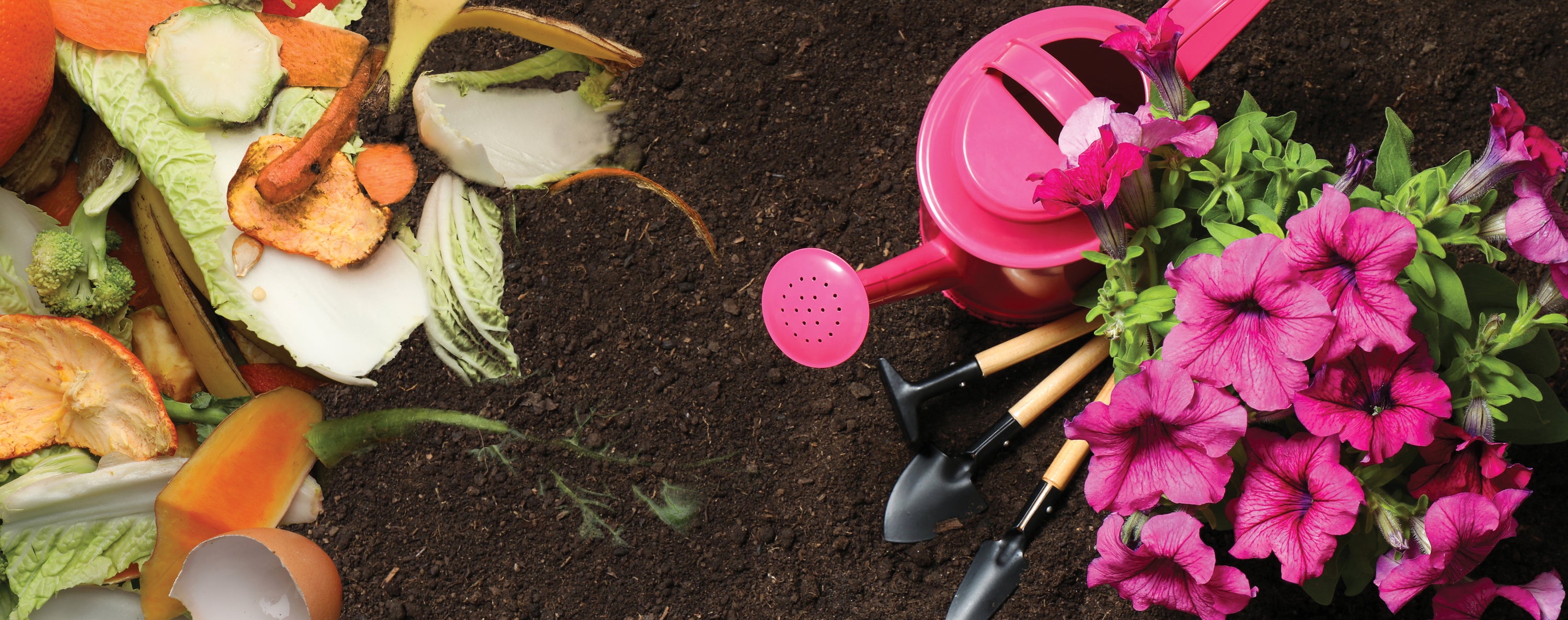 Aerobic Composter Vs. Anaerobic Composter… Which One is Better ...